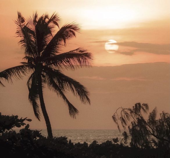The Ultimate Zanzibar Travel Guide - An Island Like No Other