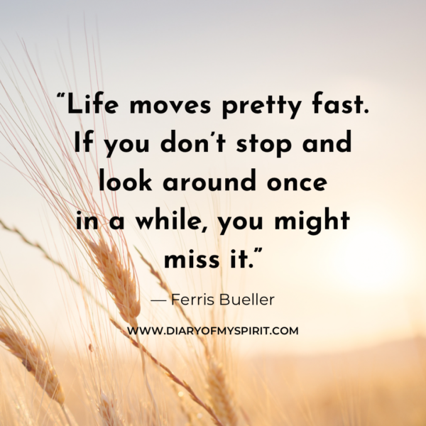 211 Best Life Quotes to Bring Inspiration and Positivity to Your Life
