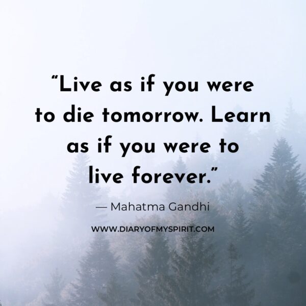 211 Best Life Quotes to Bring Inspiration and Positivity to Your Life