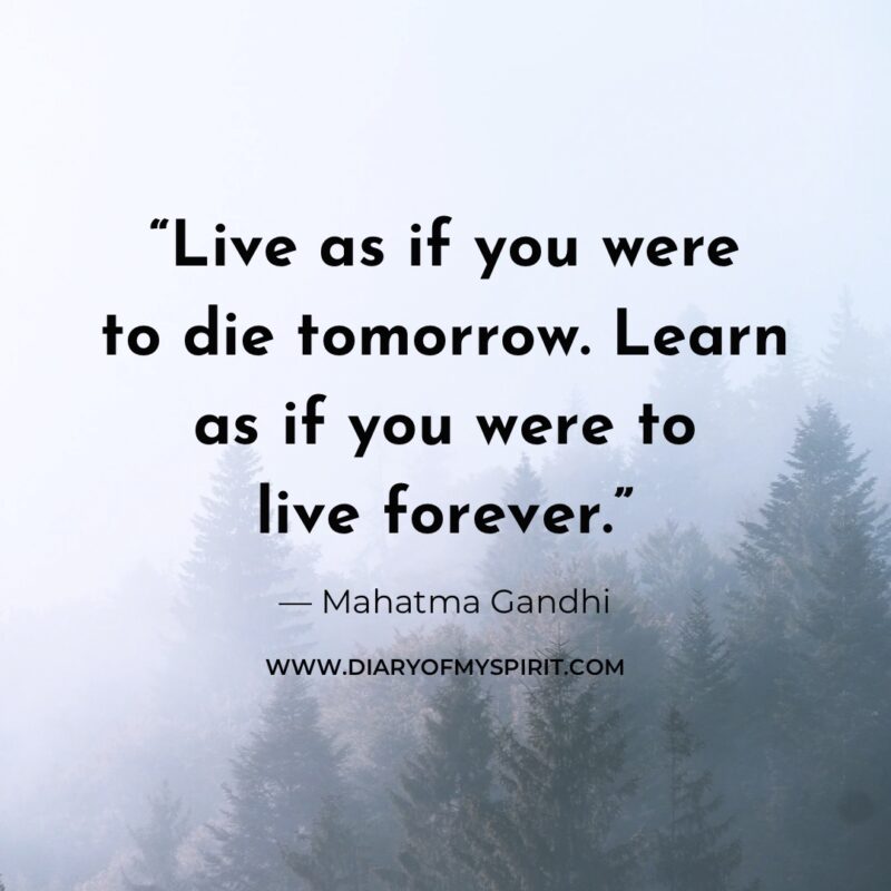 211 Best Life Quotes to Bring Inspiration and Positivity to Your Life