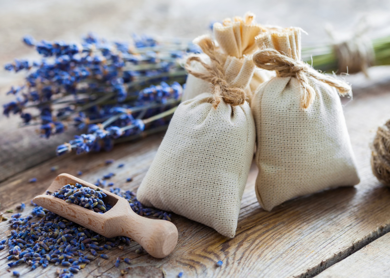 How To Make Your House Smell Good (All The Time!)
